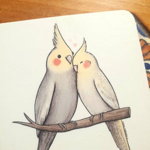 Cockatiel Cuddle Coaster - Cute Birds Parrots Valentines Friendship ...