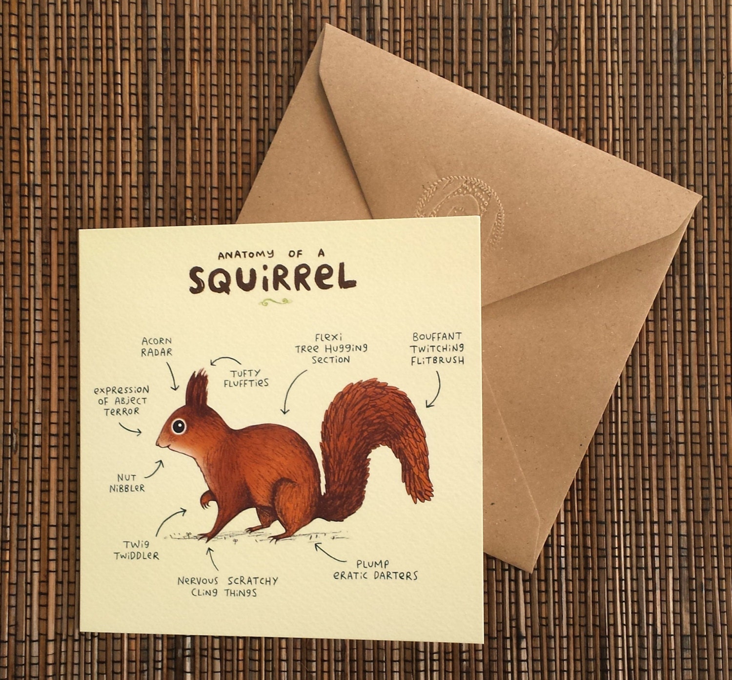Anatomy of A Squirrel Card - Etsy Canada