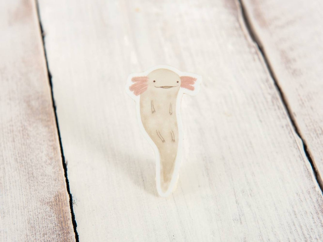 Floating Axolotl Transparent Background Vinyl Sticker - Etsy