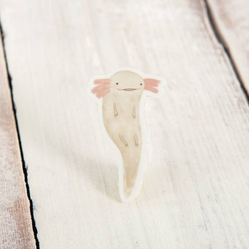 Floating Axolotl Transparent Background Vinyl Sticker - Etsy