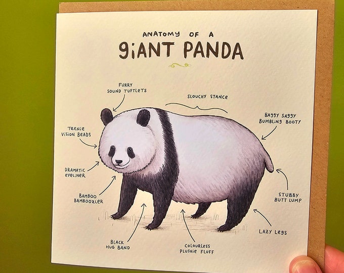 Anatomy of A Giant Panda Card - Etsy