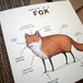 Anatomy of A Fox Card - Etsy