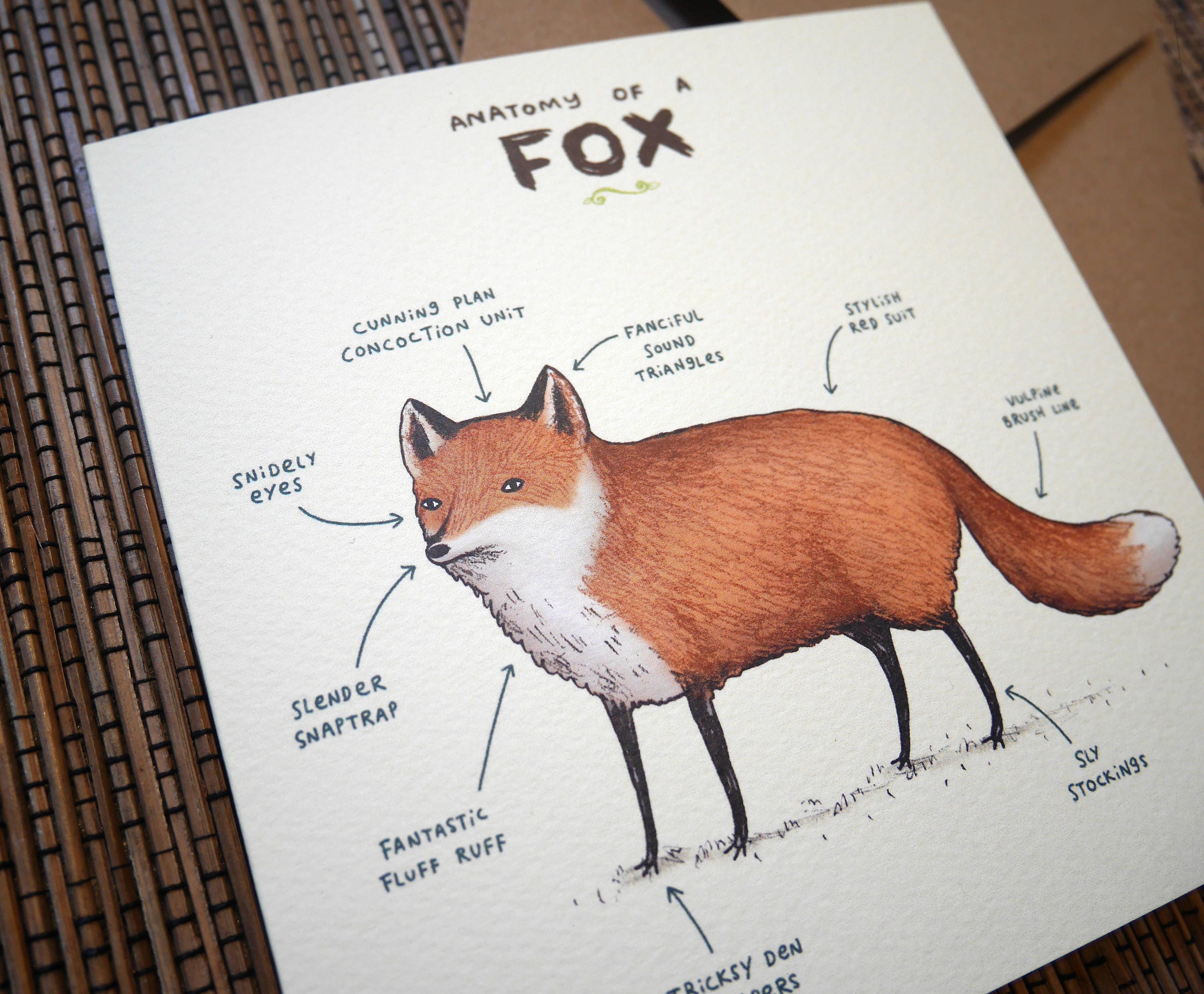 Anatomy of A Fox Card - Etsy