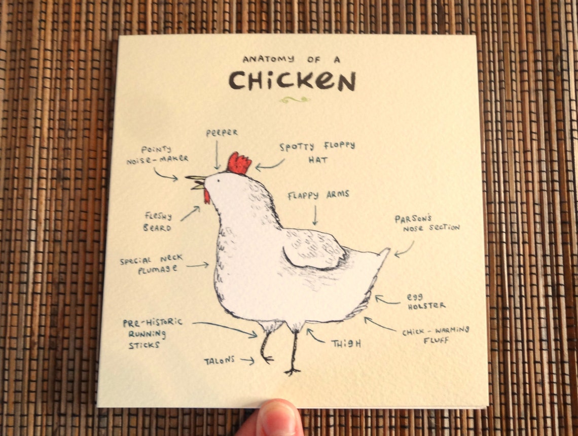 Anatomy of A Chicken Card - Etsy