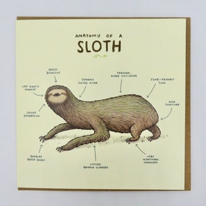 Anatomy of a Sloth Card - Etsy