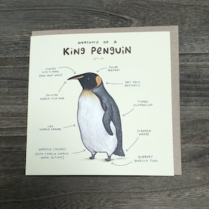 Anatomy of A Penguin Card - Scientific Anatomical Animal Illustration ...