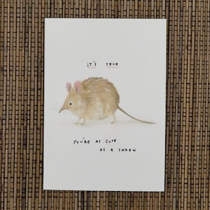 You're as Cute as a Shrew Card Adorable Funny Fluffy Shrews Valentines ...
