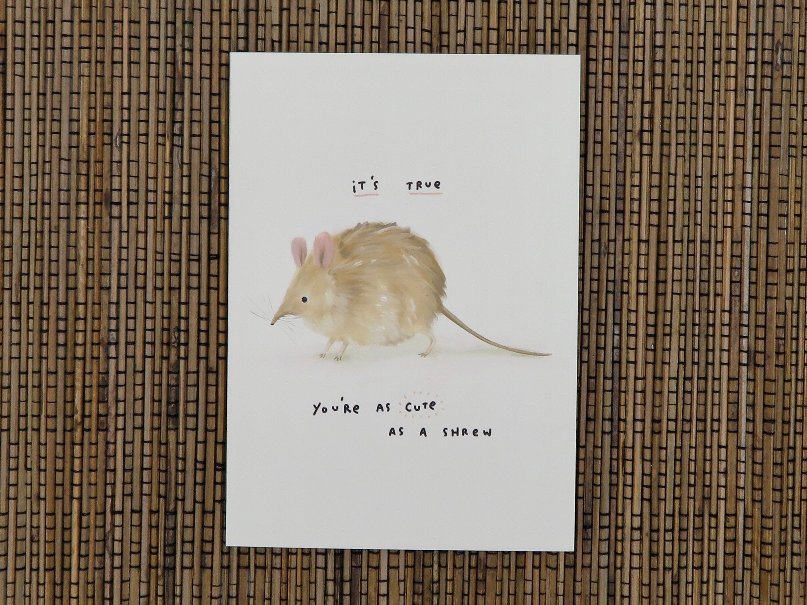 You're as Cute as a Shrew Card - Adorable Funny Fluffy Shrews ...