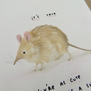 You're as Cute as a Shrew Card - Adorable Funny Fluffy Shrews ...