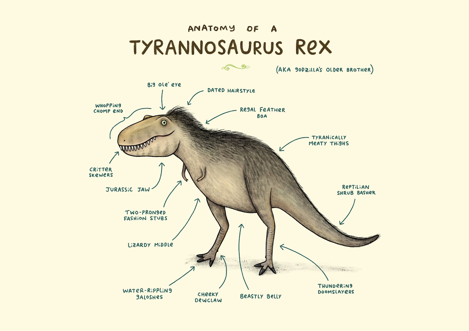 Anatomy of A Tyrannosaurus Rex A4 Signed Print - Etsy