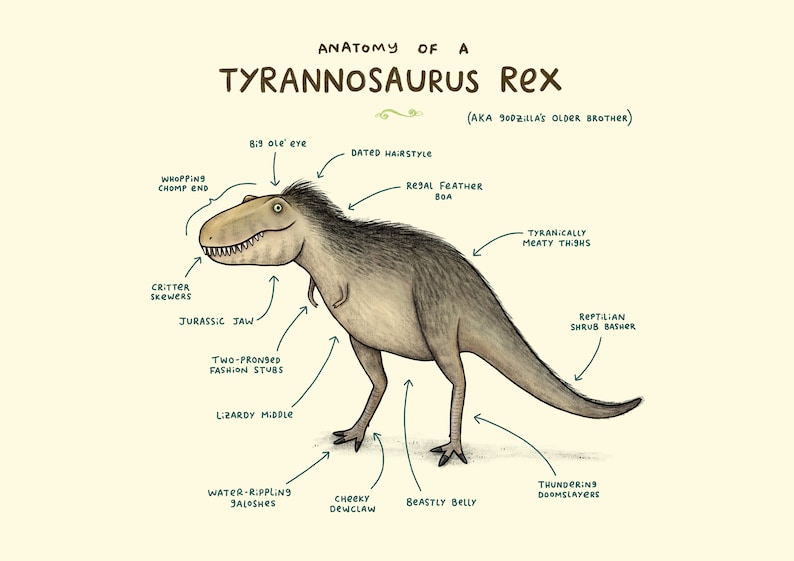 Anatomie d'un Tyrannosaurus Rex A4 Imprimé signé - Etsy France