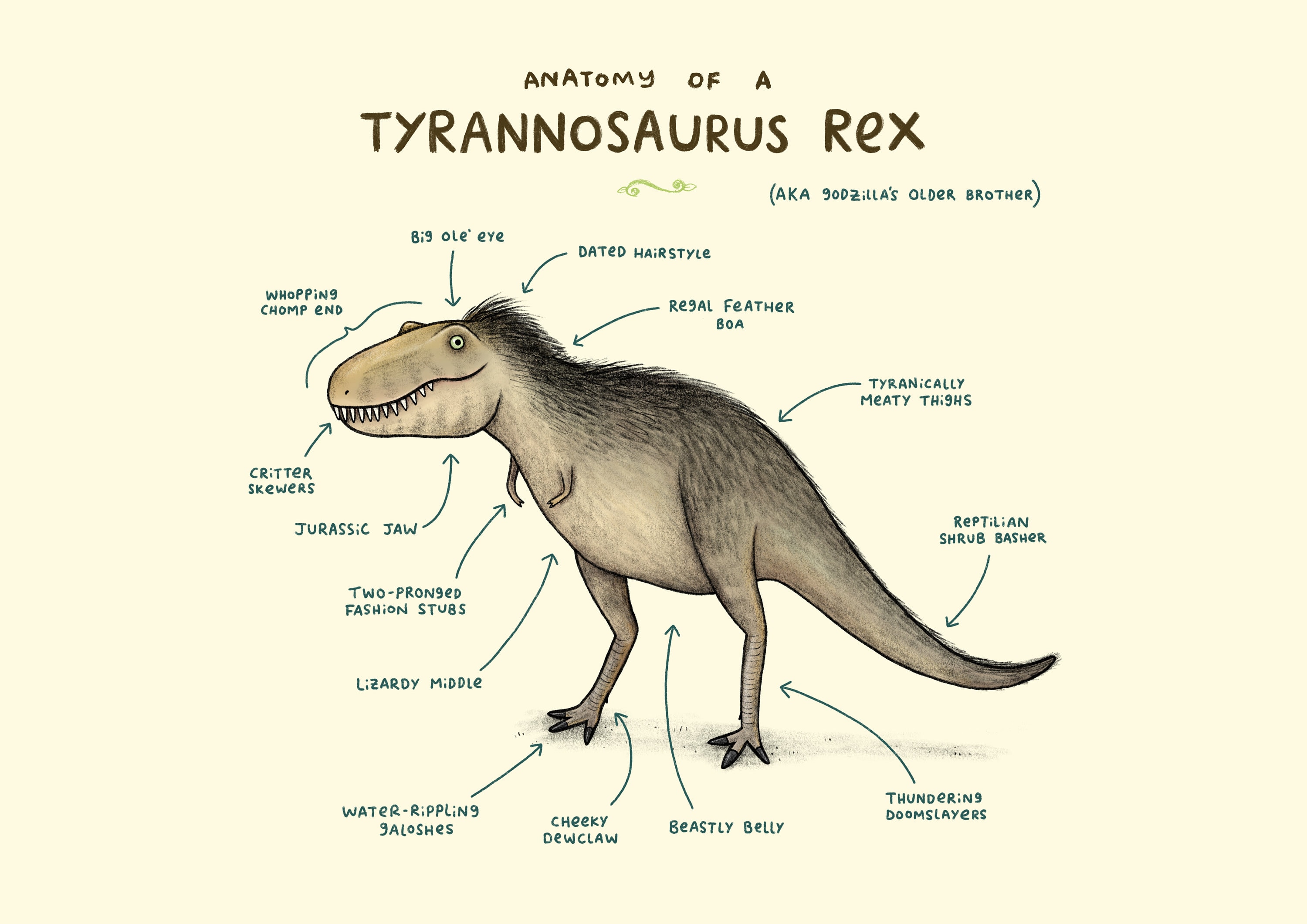Anatomy of A Tyrannosaurus Rex A4 Signed Print - Etsy UK