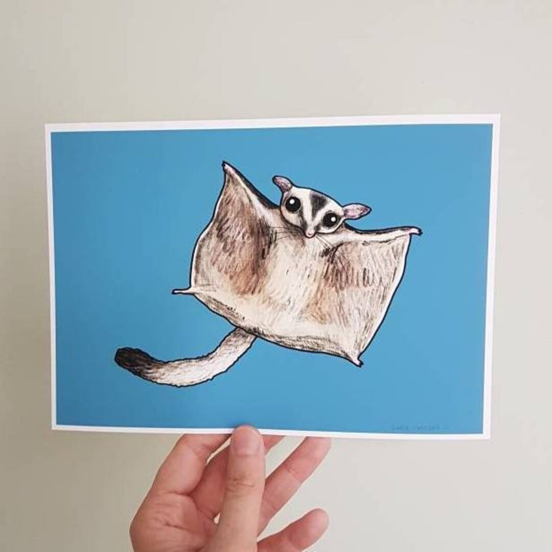 Cute Flying Sugar Glider Signed Art Print - Etsy