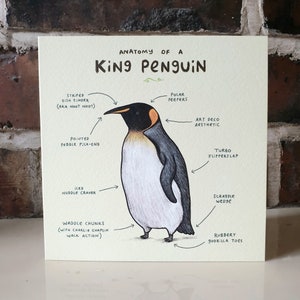 Anatomy of A Penguin Card - Scientific Anatomical Animal Illustration ...