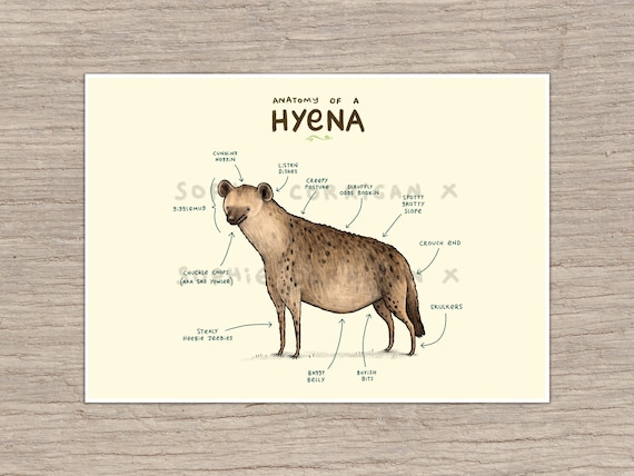 Anatomy of A Hyena Signed Art Print | Etsy