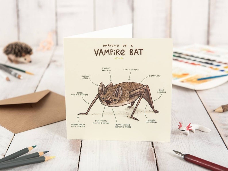 Anatomy of A Vampire Bat Card - Etsy