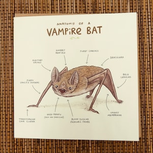 Anatomy of A Vampire Bat Card - Etsy