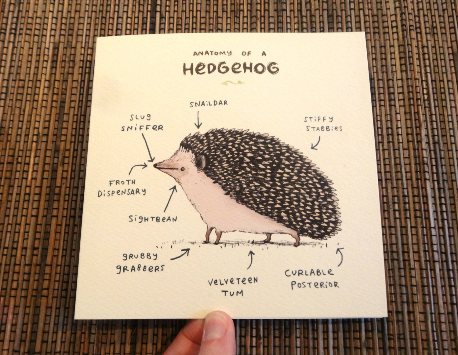 Anatomy of A Hedgehog Card - Etsy UK
