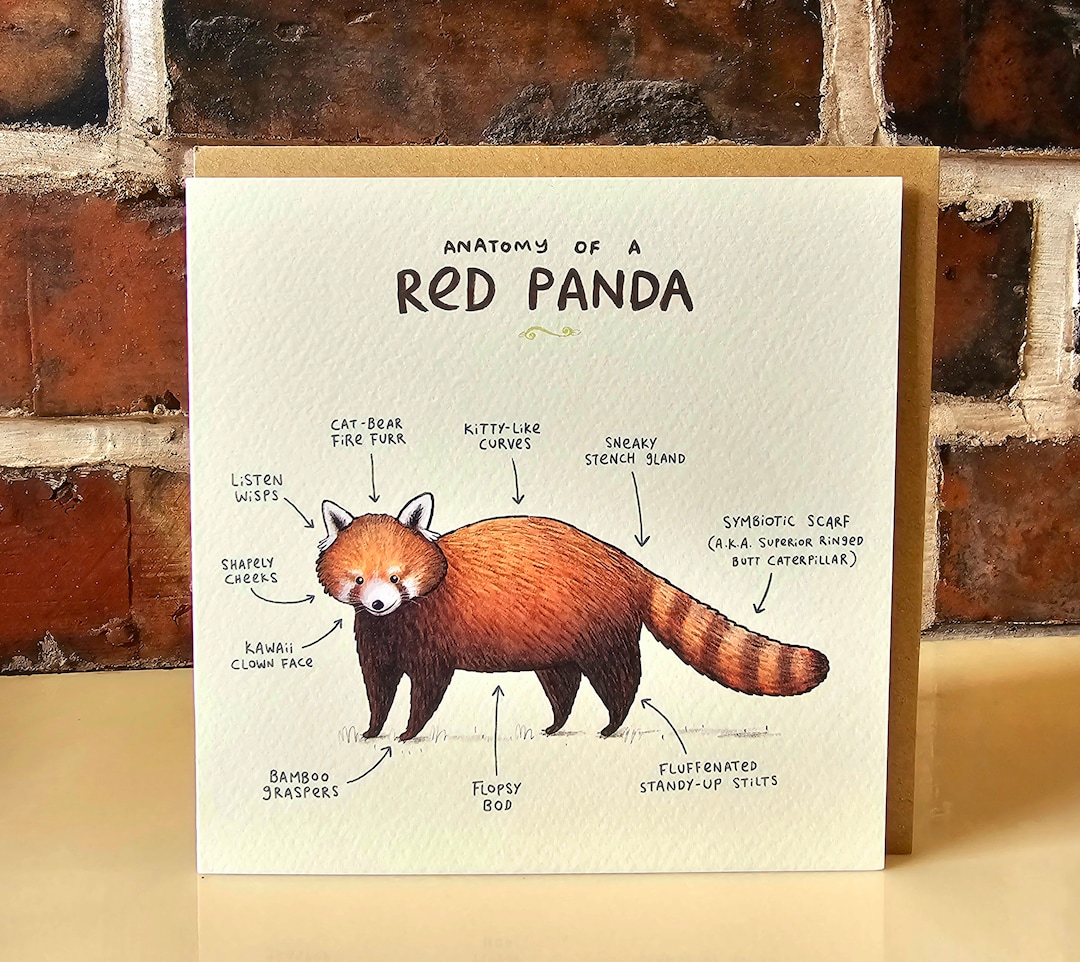 Anatomy of A Red Panda Card - Etsy