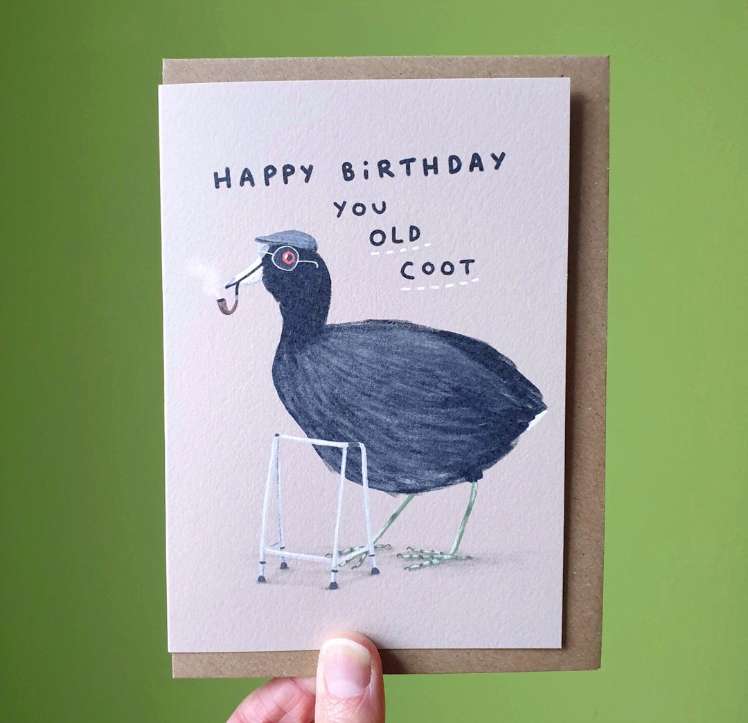 Old Coot Moorhen Bird Funny Birthday Card - Etsy