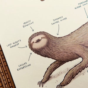 Anatomy of a Sloth Card - Etsy
