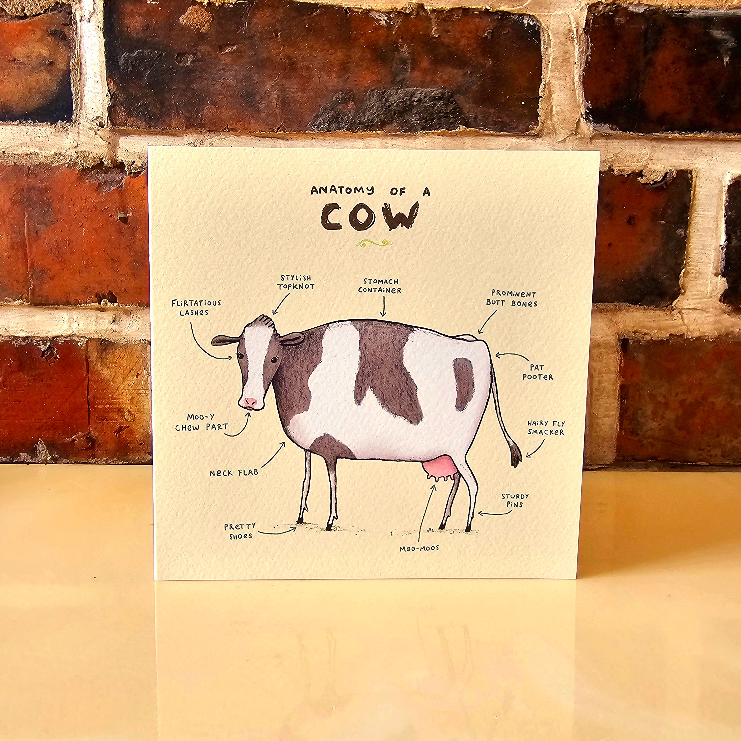 Anatomy of a Cow Card - Etsy