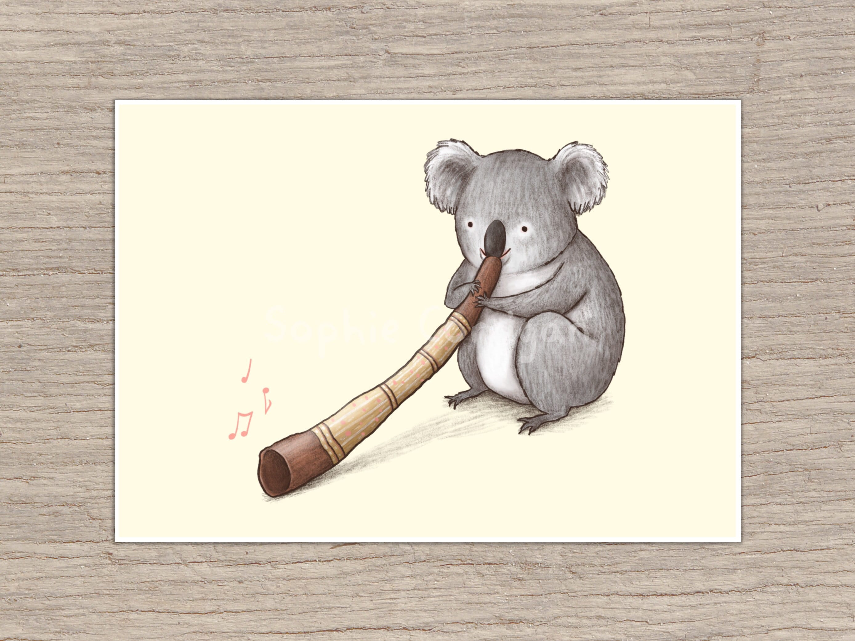 Koalas Playing