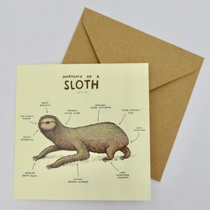 Anatomy of a Sloth Card - Etsy