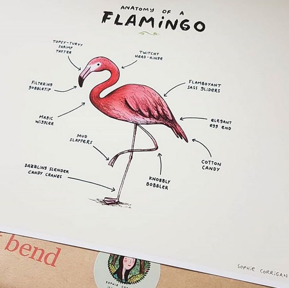 Buy Anatomy of a Flamingo Signed Art Print Online in India - Etsy