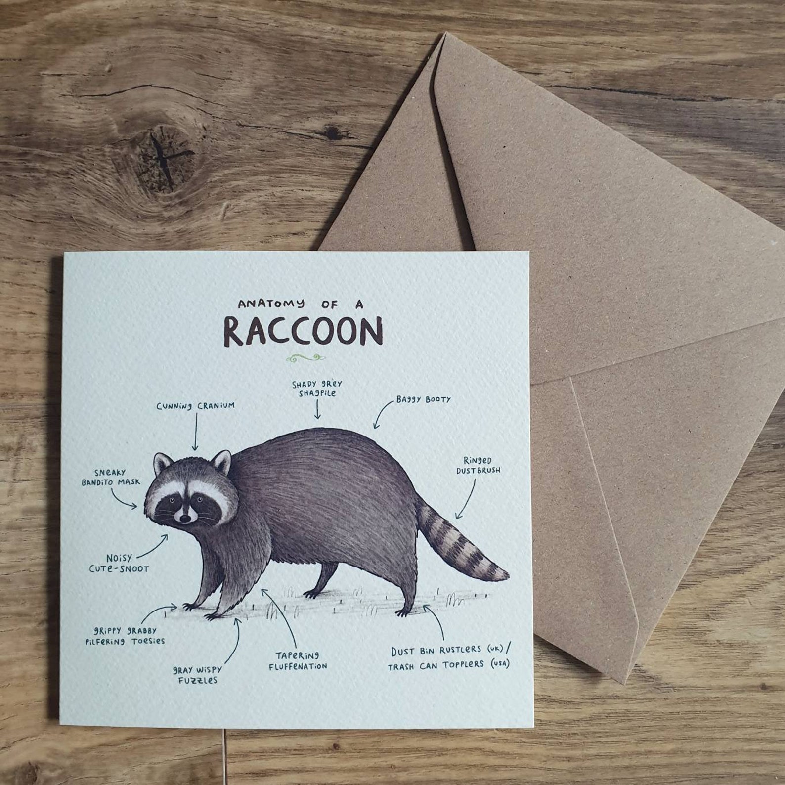 Anatomy of A Raccoon Card - Etsy
