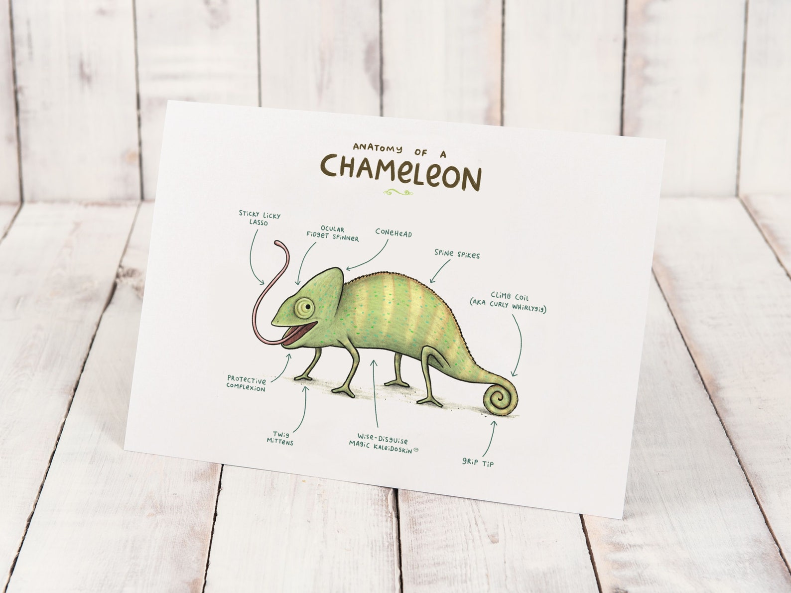Anatomy of a Chameleon A4 Signed Print - Etsy