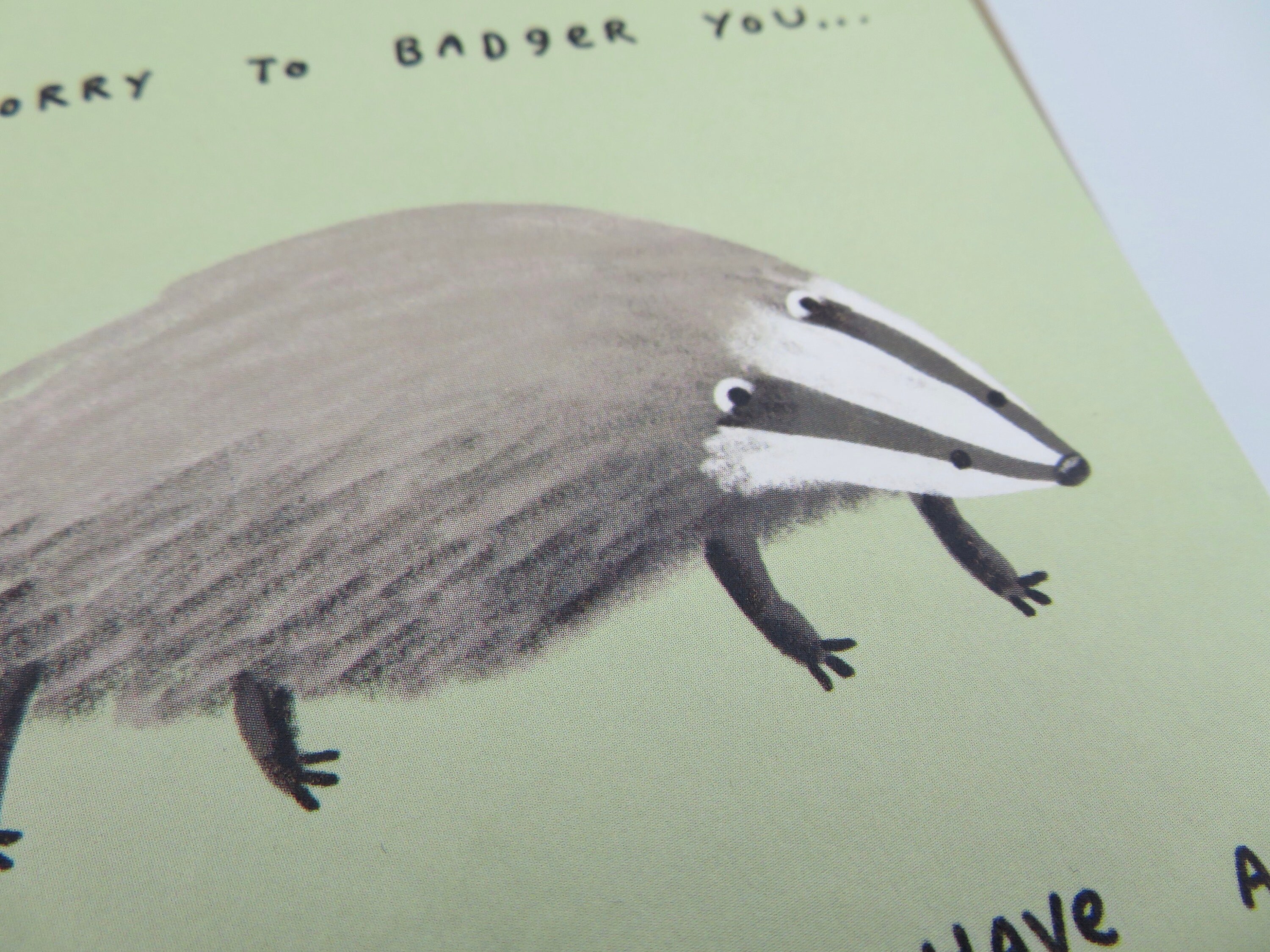 Badger Birthday Card - Etsy