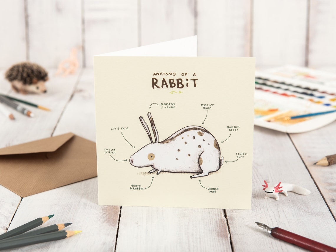 Anatomy of A Rabbit Card - Etsy