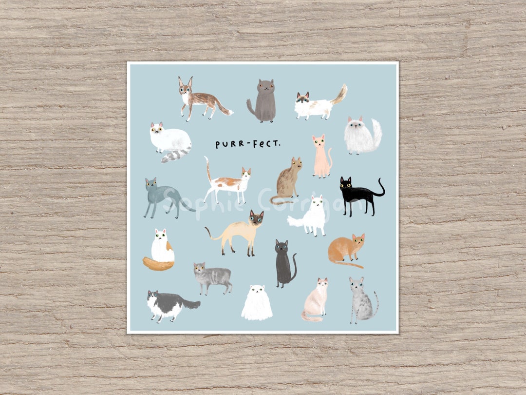 Purr-fect Curious Cats Signed Art Print - Etsy