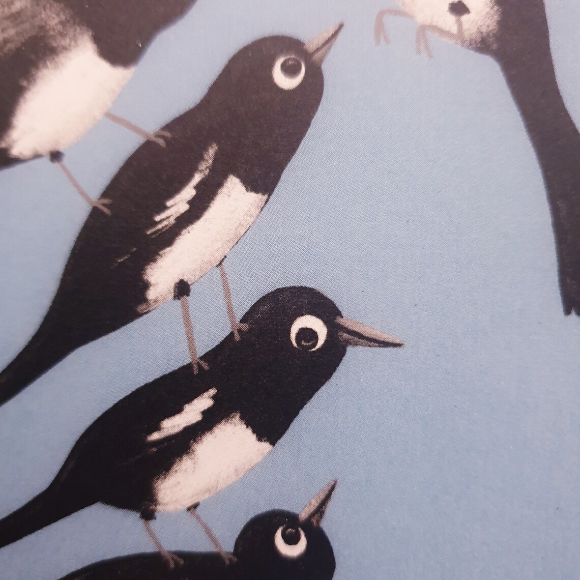 One for Sorrow Magpie Nursery Rhyme Mini Art Zine: Hand Signed Children's Picture Book - Etsy