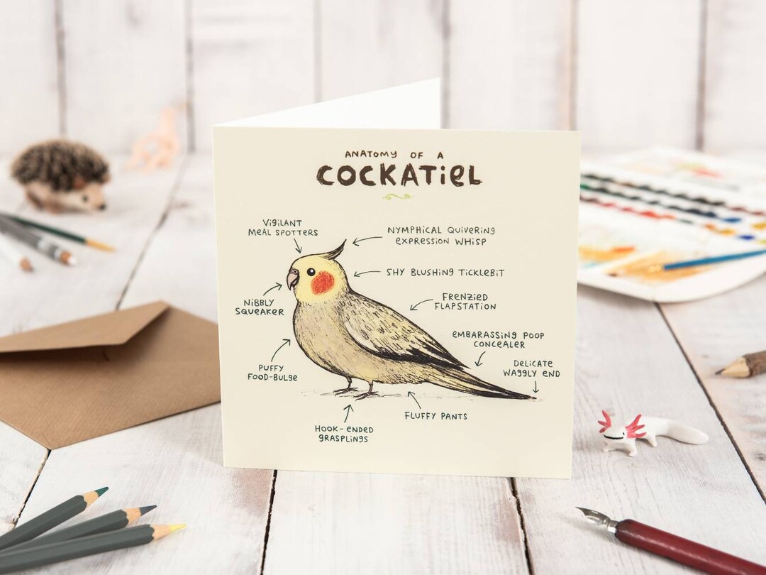 Anatomy of A Cockatiel Card - Etsy