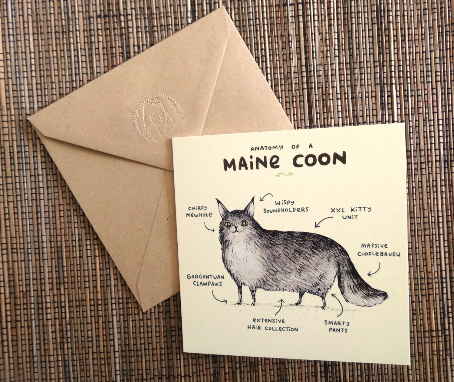 Anatomy of A Maine Coon Card - Etsy UK