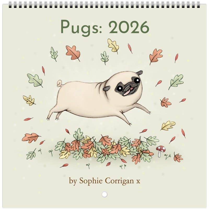 Pug Calendars 2026 - Etsy