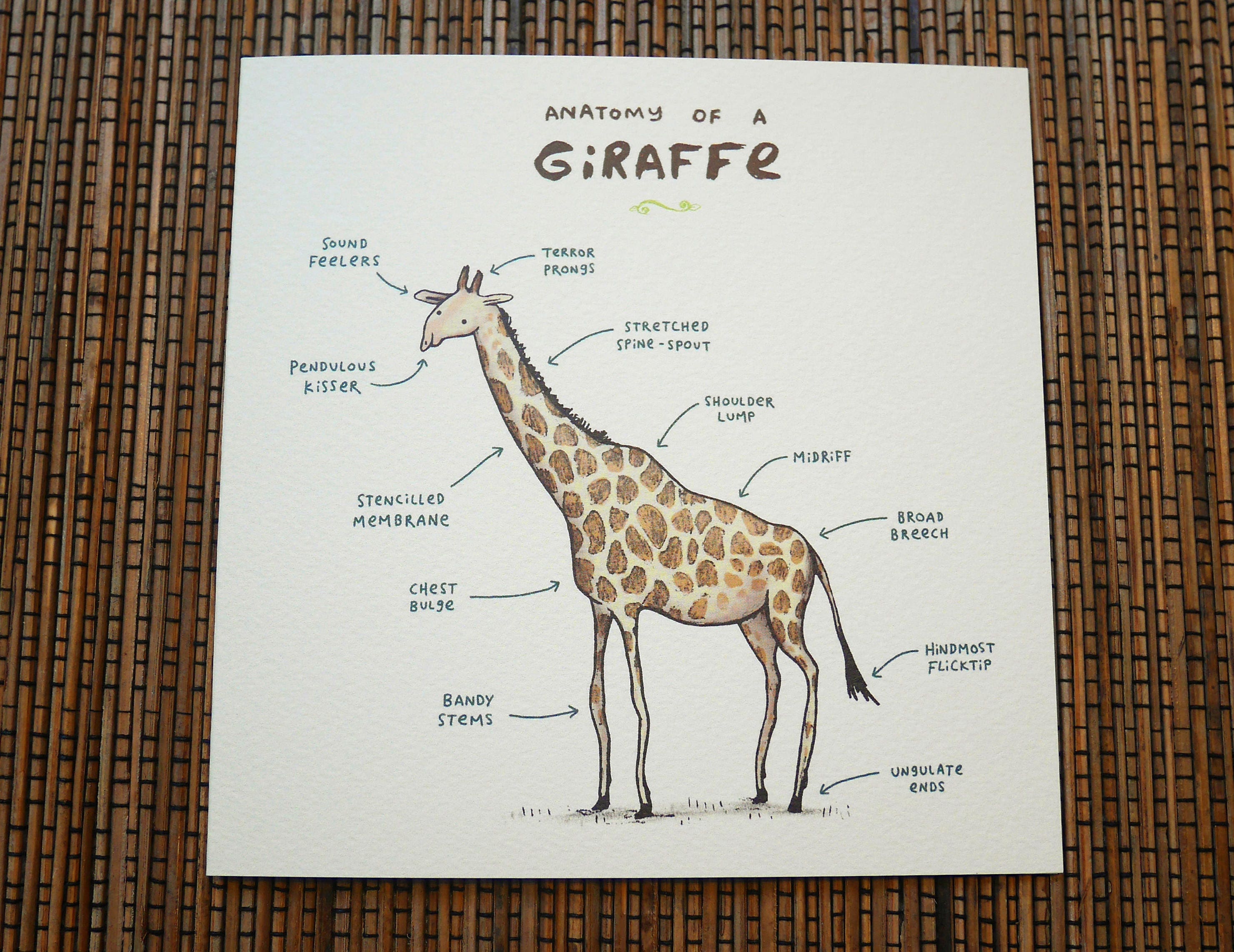 Anatomy Of A Giraffe Card | Etsy