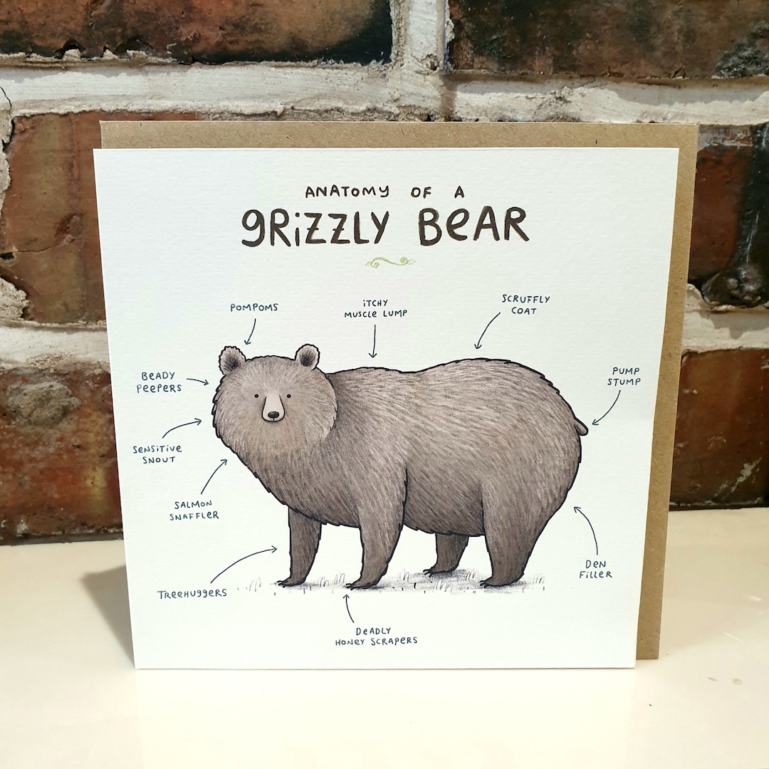 Anatomy of a Grizzly Bear Card - Etsy