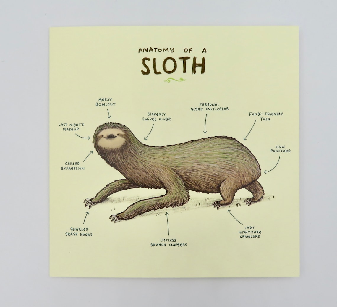 Anatomy of a Sloth Card - Etsy
