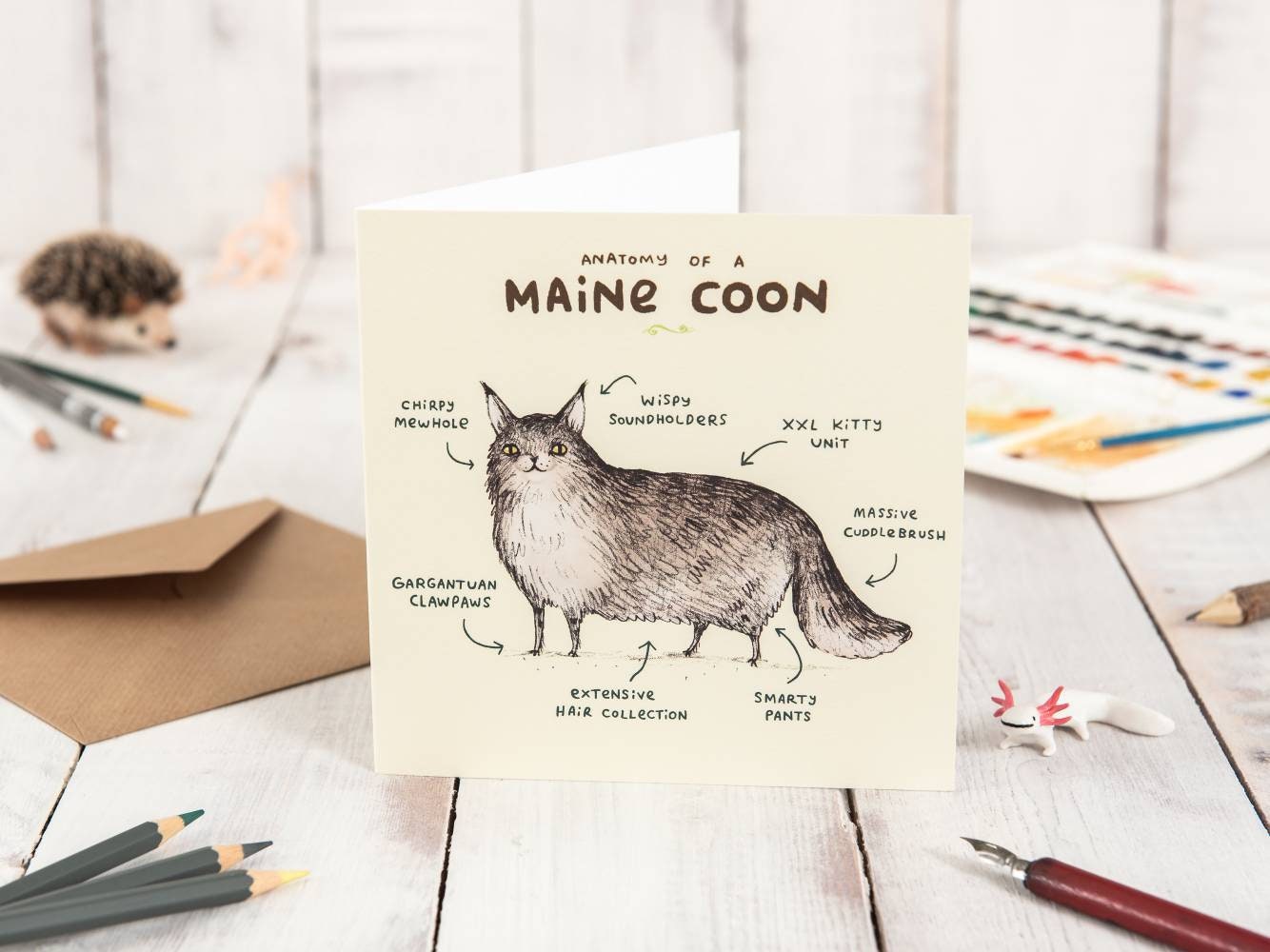 Anatomy of A Maine Coon Card - Etsy UK