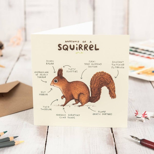 Squirrel Card - Etsy