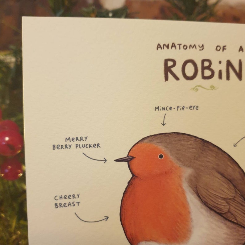 Anatomy of A Robin Card - Cute Robin Christmas Card - Etsy