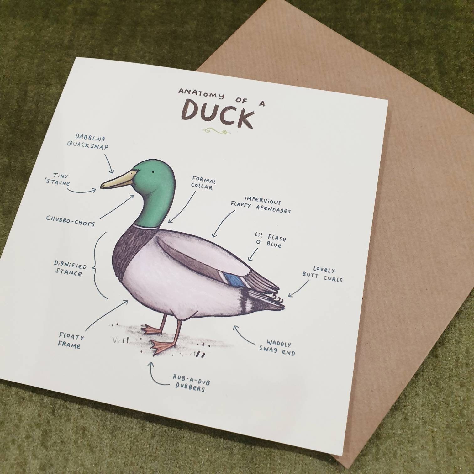 Buy Anatomy of A Duck Card Online in India - Etsy
