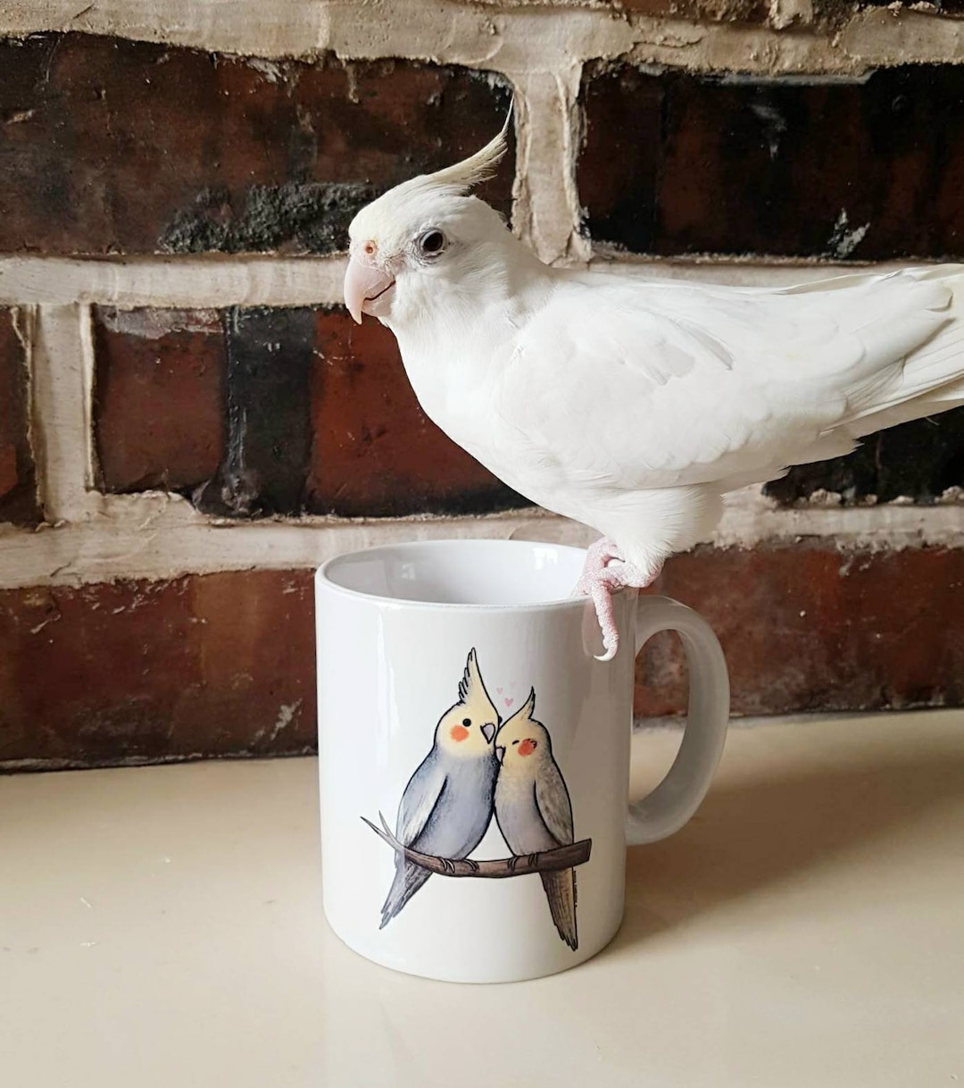 Cockatiel Cuddle 11oz Mug - Cute Parrot Birds Cuddling Valentines Gift ...