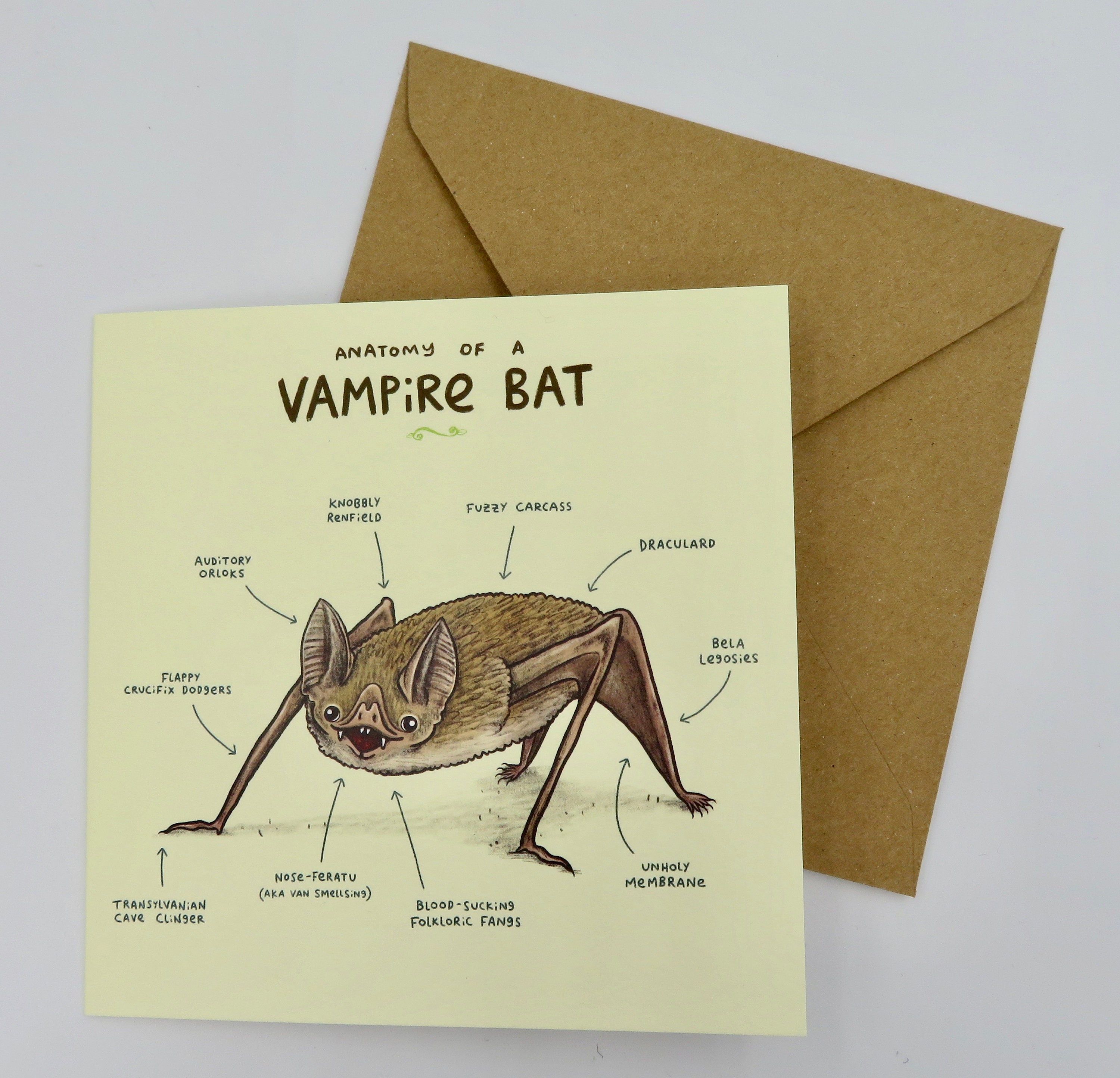 Anatomy of A Vampire Bat Card - Etsy