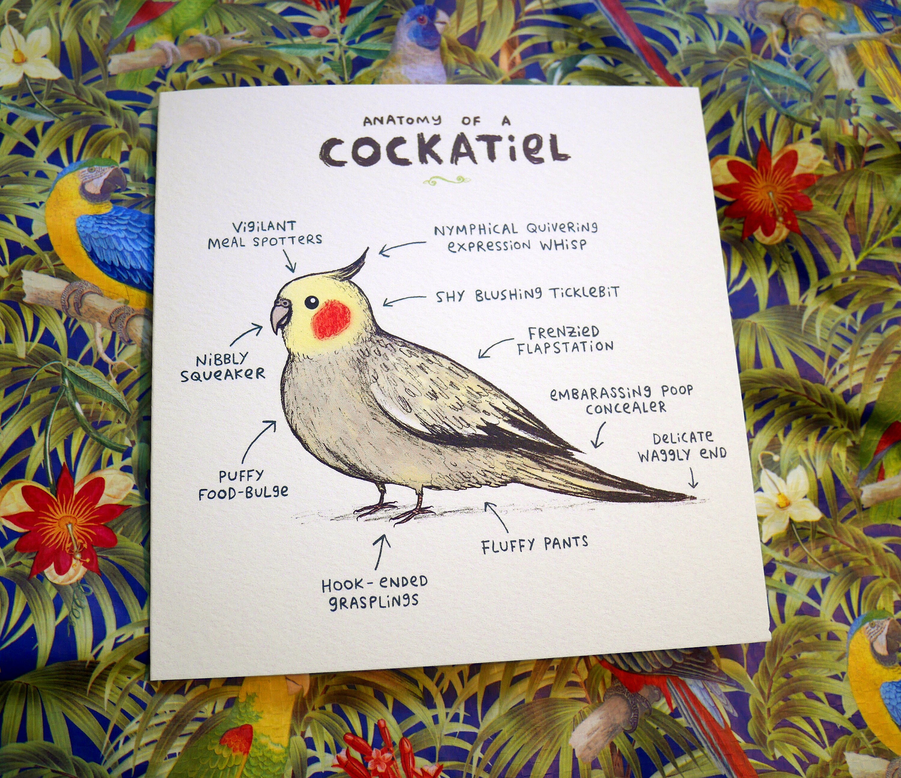 Anatomy of A Cockatiel Card - Etsy Ireland