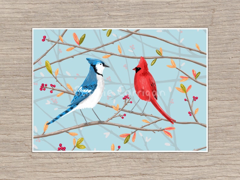 Blue Jay & Cardinal Signed Art Print - Etsy