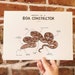 Anatomy of A Boa Constrictor Snake A4 Signed Print - Etsy
